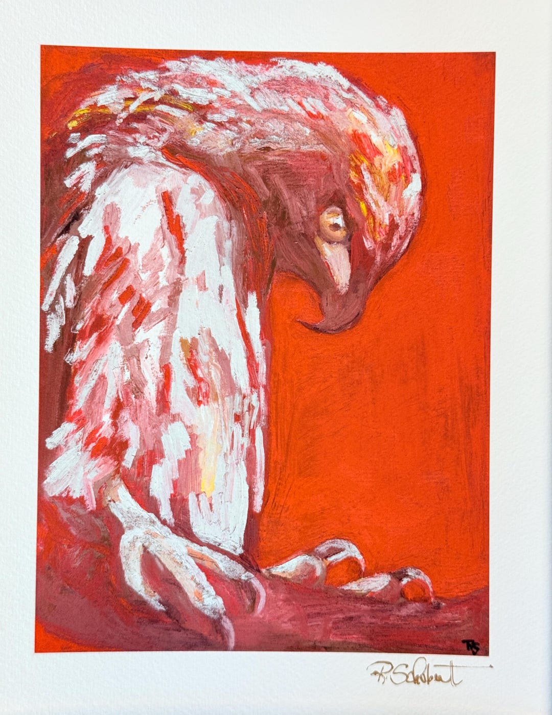 Bold Hawk Giclée Art Print - Vibrant Wildlife Wall Art - Nature ...