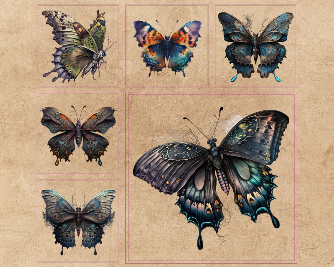 Moth Clipart PNG Gothic Moth Illustrations Clipart Moths Pagan - Etsy