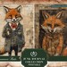 Cute Scruffy Fox Junk Journal Bundle, Fantastic Illustrations Vintage ...