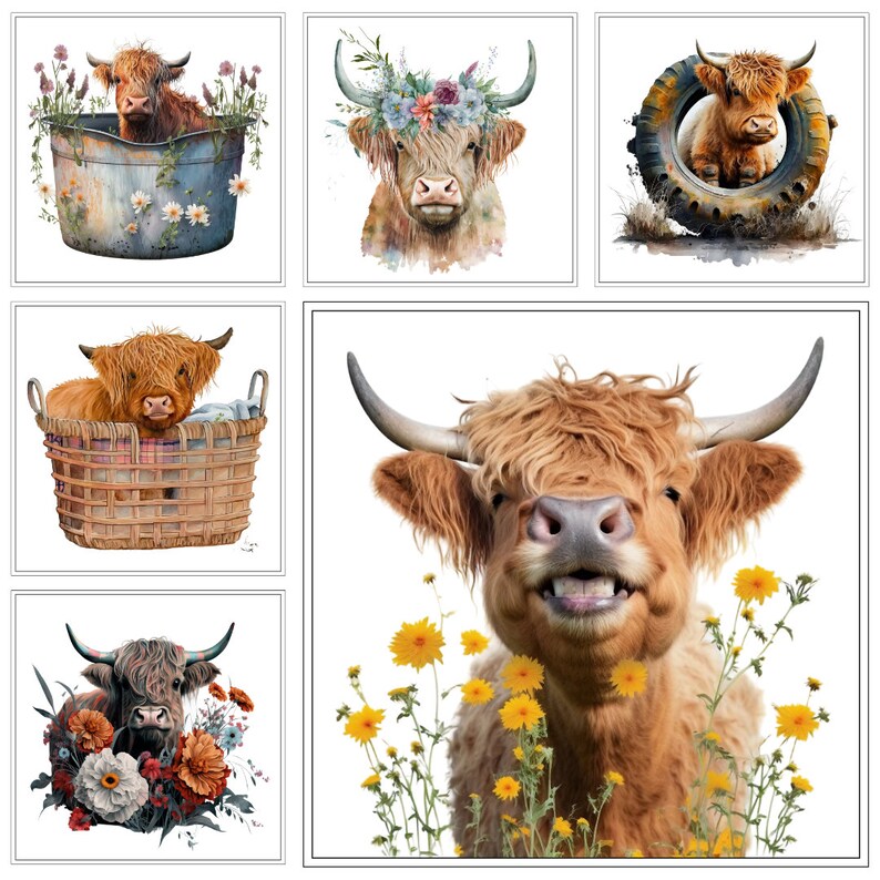 Highland Cow Clipart Mega Pack, Farm Animals, PNG, Instant Download ...