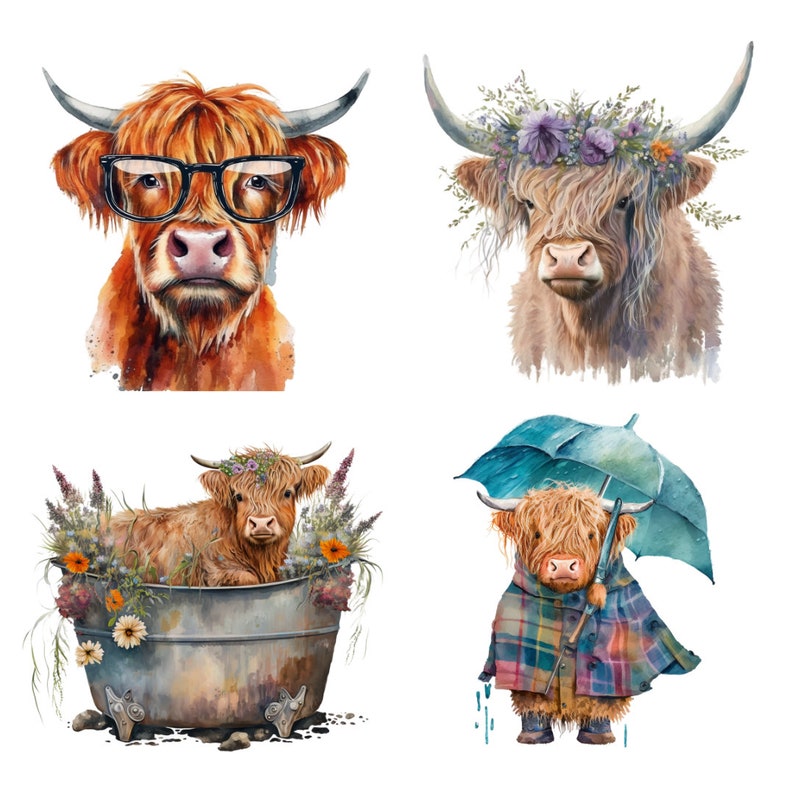 Highland Cow Clipart Mega Pack, Farm Animals, PNG, Instant Download ...