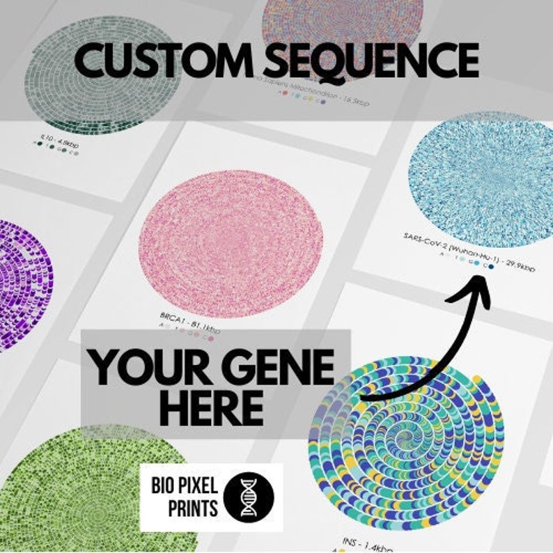 Custom Sequence DNA Print RNA, Nucleic Acid Gene Immunology Poster ...