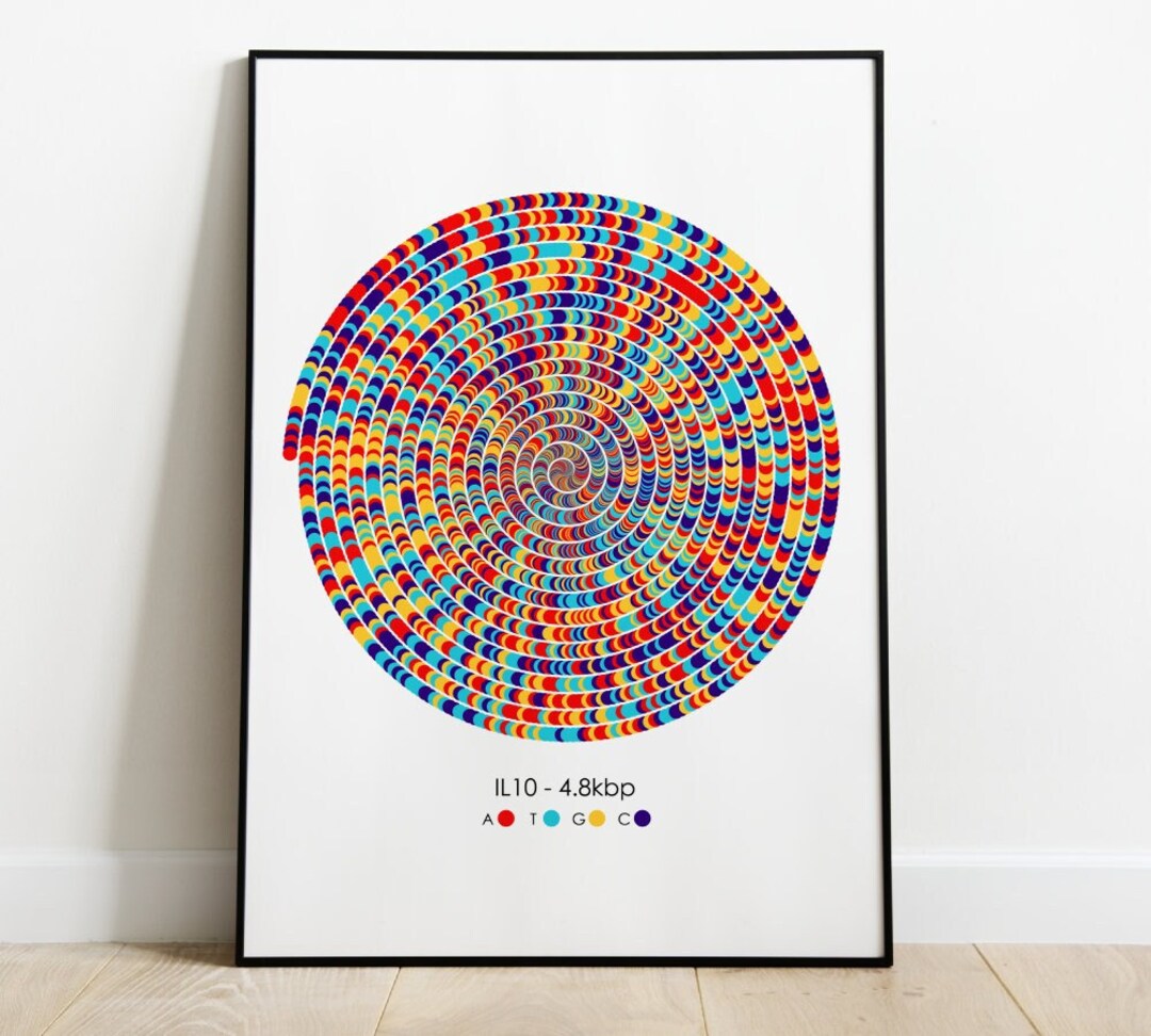 IL10 Gene Sequence Print, Spiral Immunology DNA Poster, Molecular ...