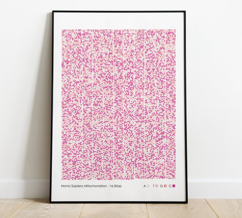 Mitochondria Gene Sequence Print Cell Dna Poster Scientist T Molecular Biology Art Medical