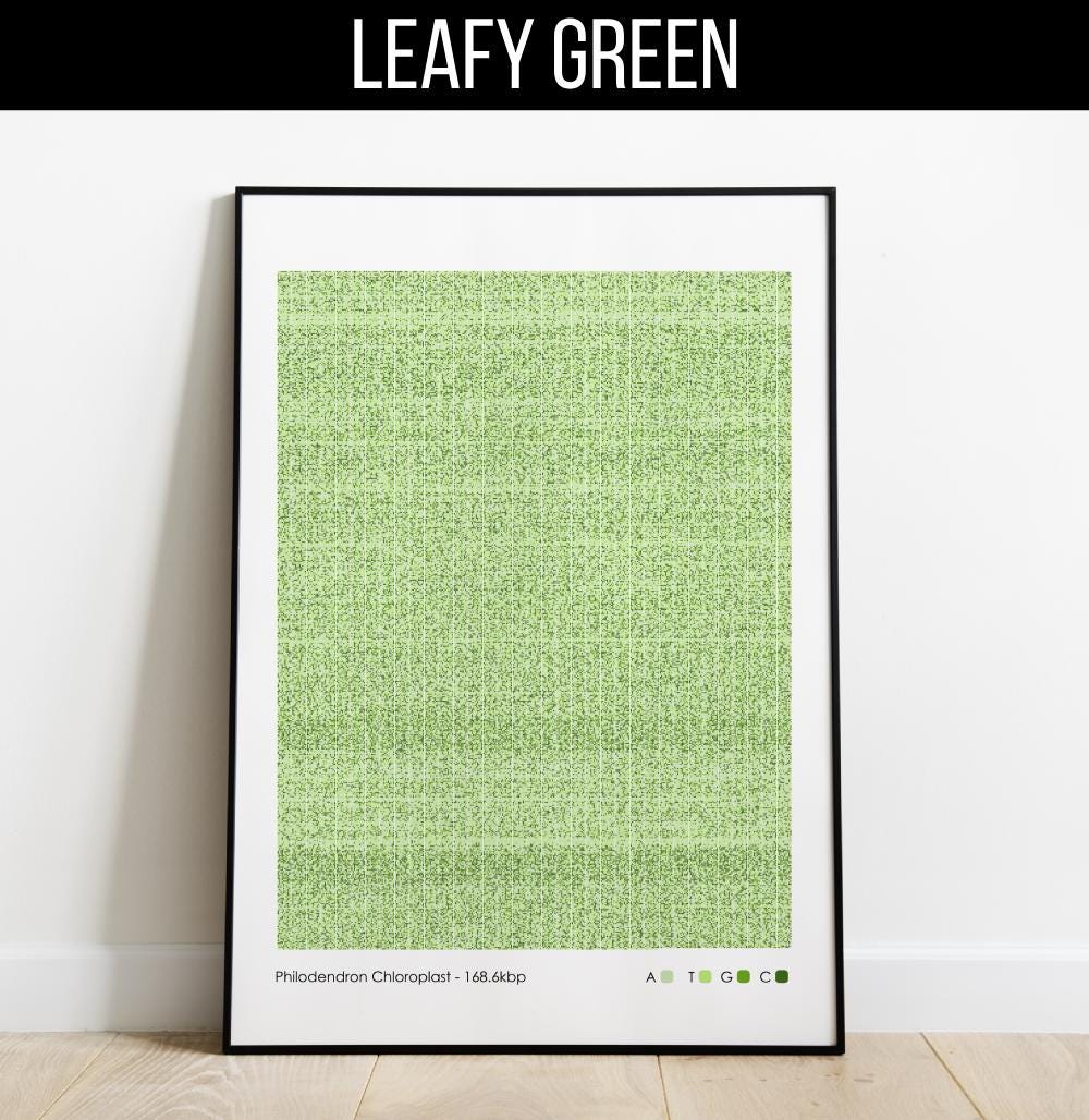 Philodendron Chloroplast Gene Sequence Print, Houseplant DNA Poster ...