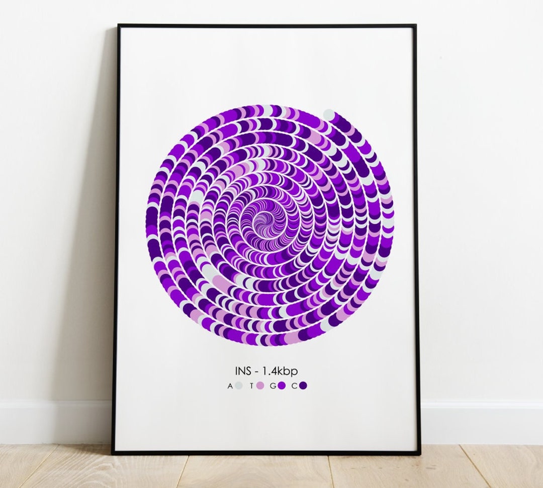 Insulin INS Gene Sequence Print Diabetes DNA Poster Scientist Gift ...