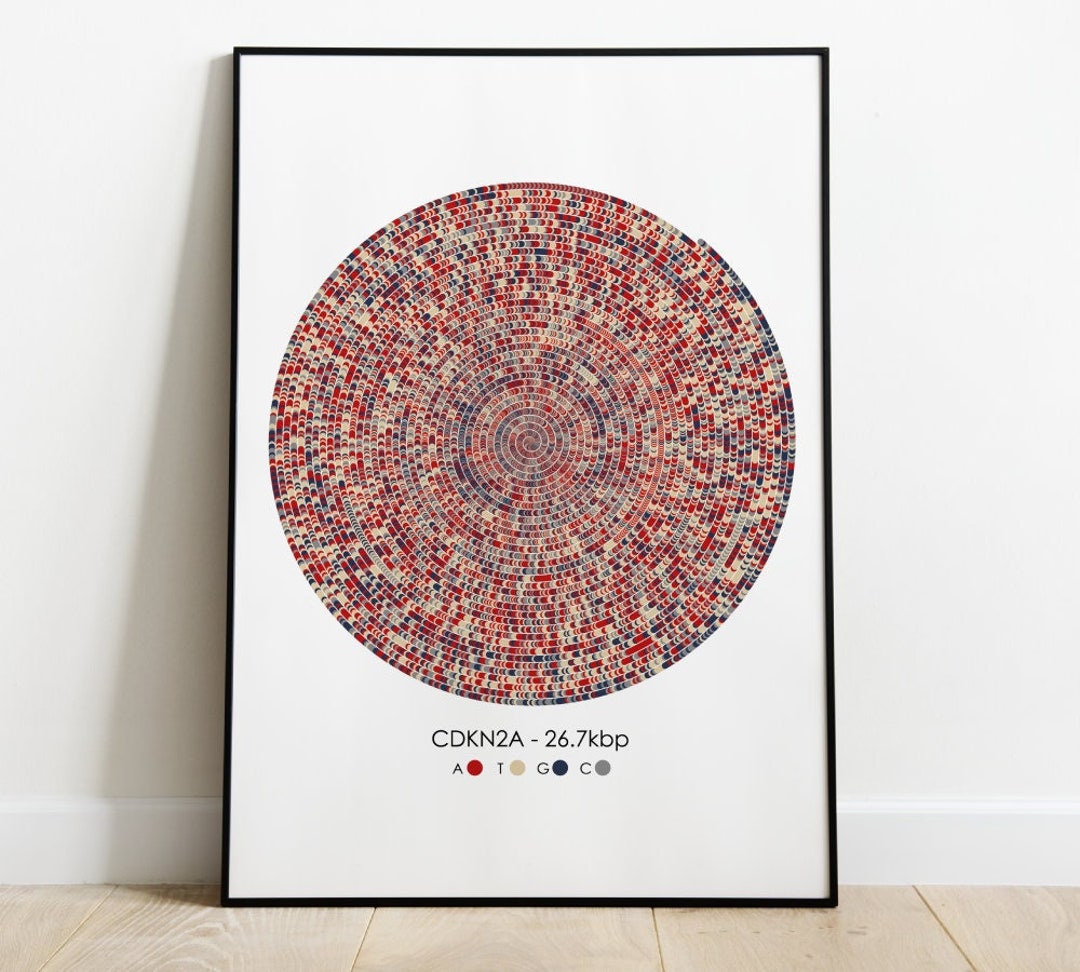 CDKN2A Gene Sequence Print, Spiral Oncology DNA Poster Molecular ...