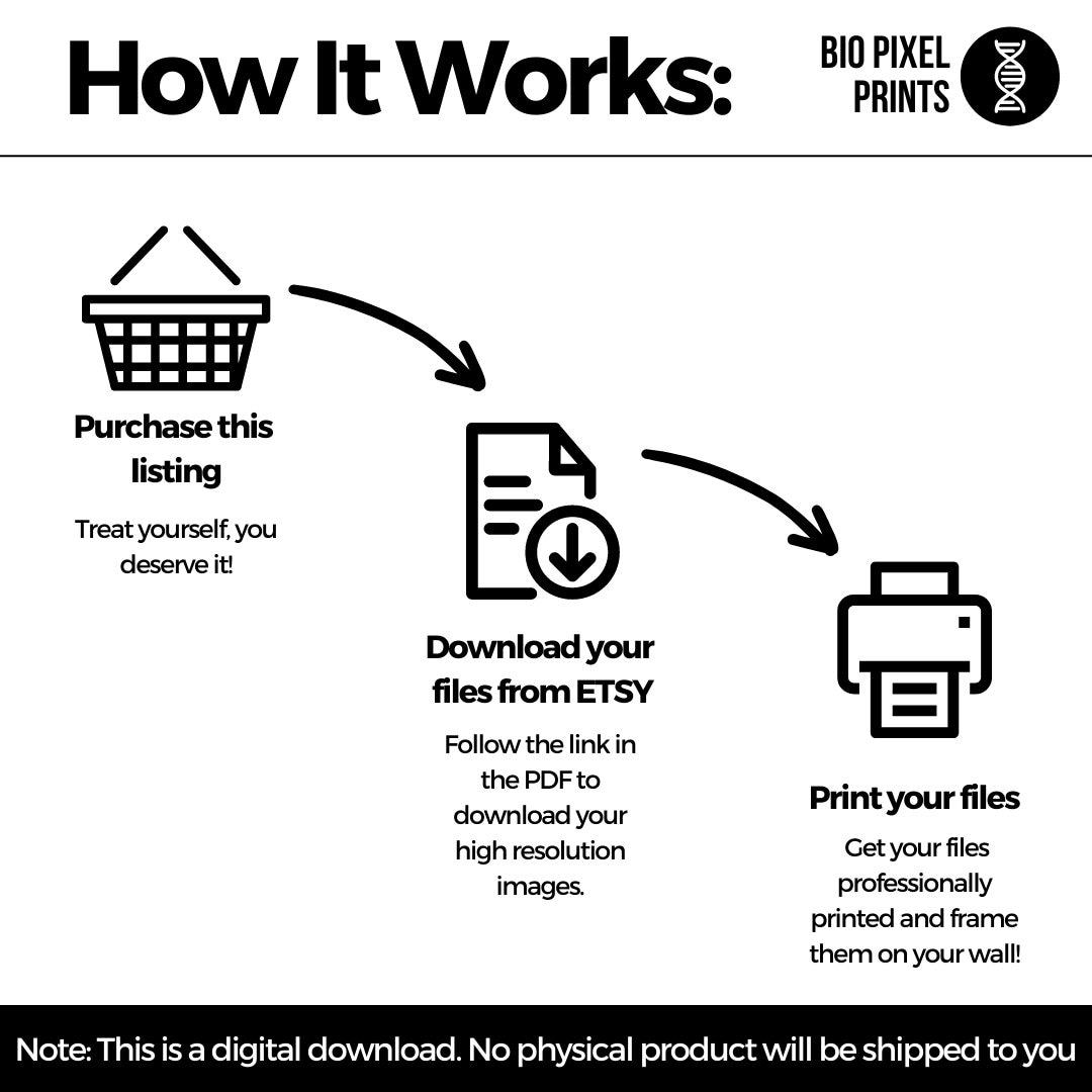 Custom Sequence DNA Print RNA Digital Download, Nucleic Acid Immunology ...