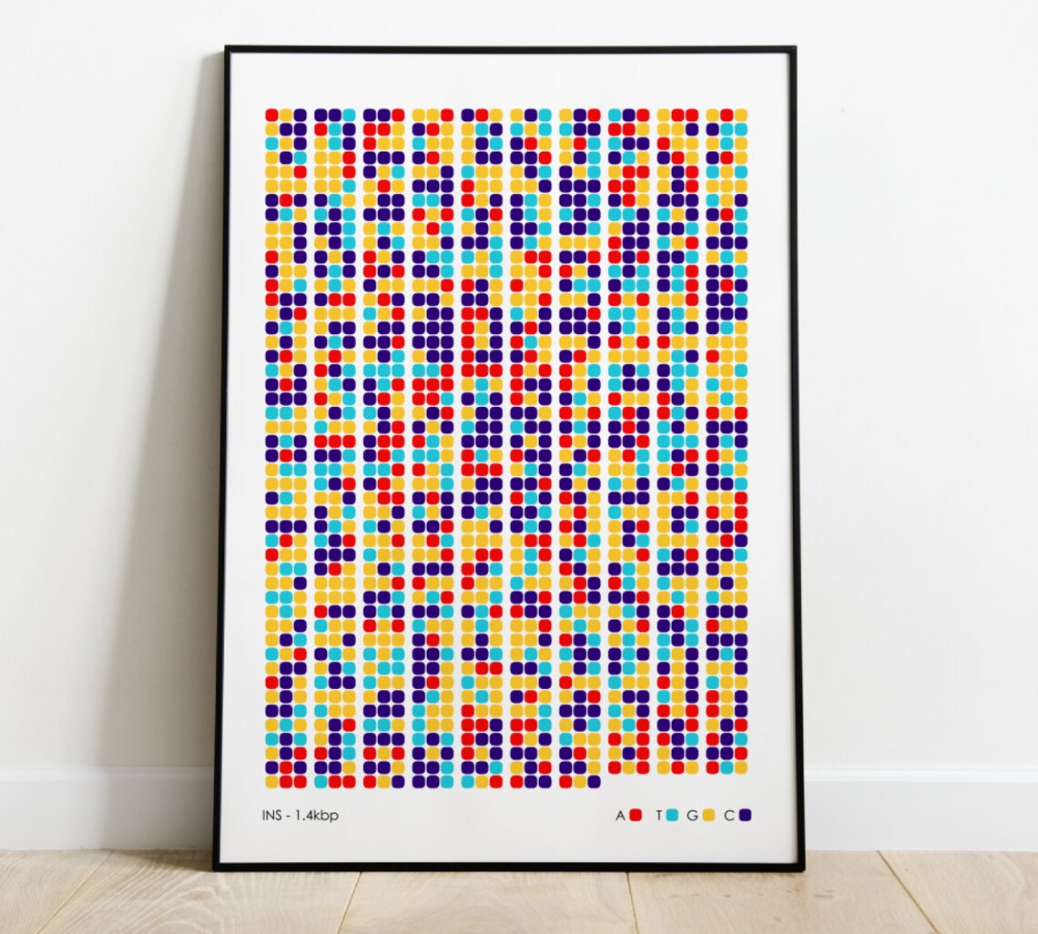 Insulin INS Gene Sequence Print Diabetes DNA Poster Scientist Gift ...