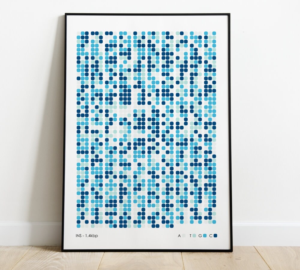 Insulin INS Gene Sequence Print Diabetes DNA Poster Scientist Gift ...
