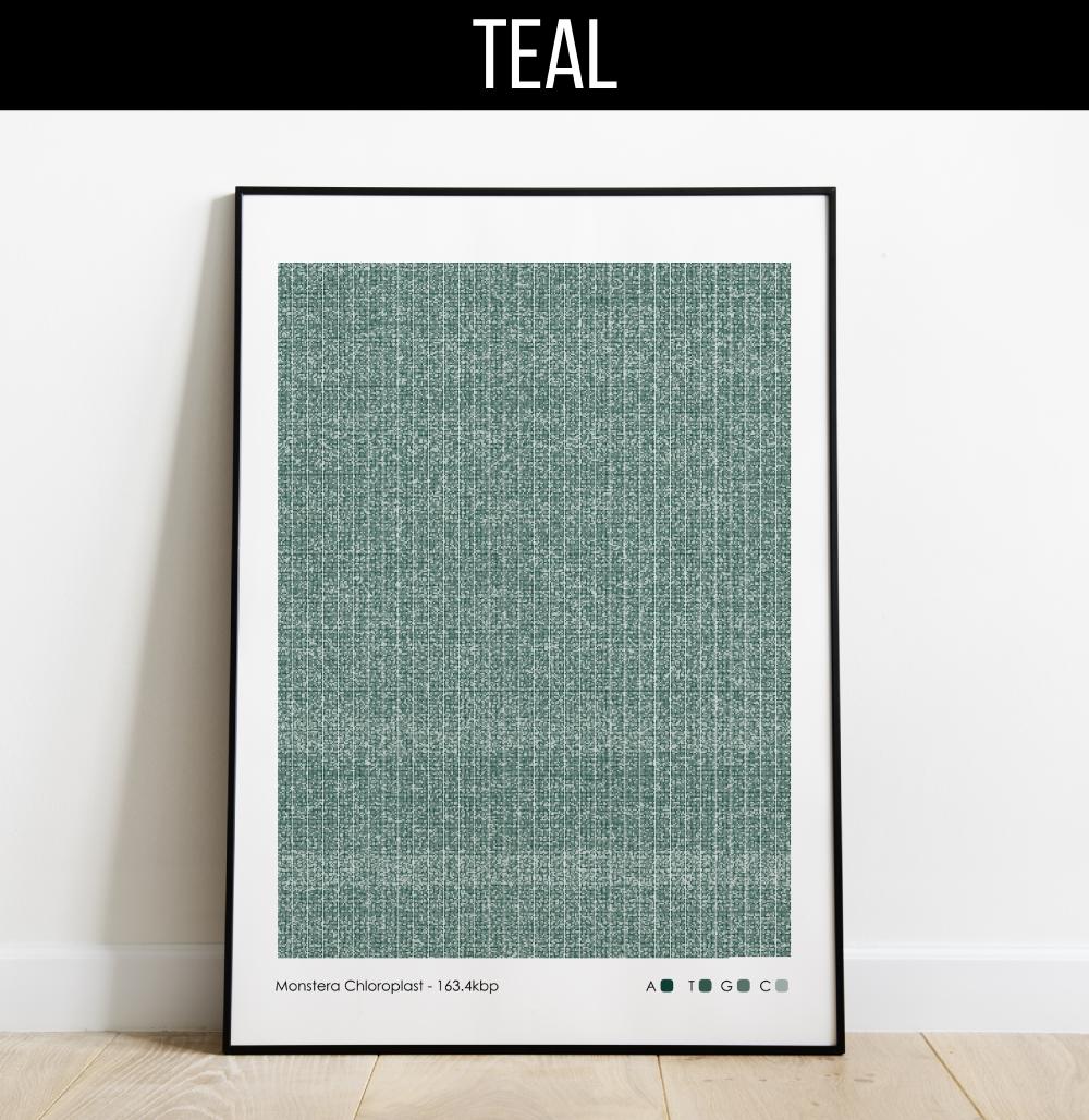 Monstera Deliciosa Chloroplast Gene Sequence Print, Houseplant DNA ...