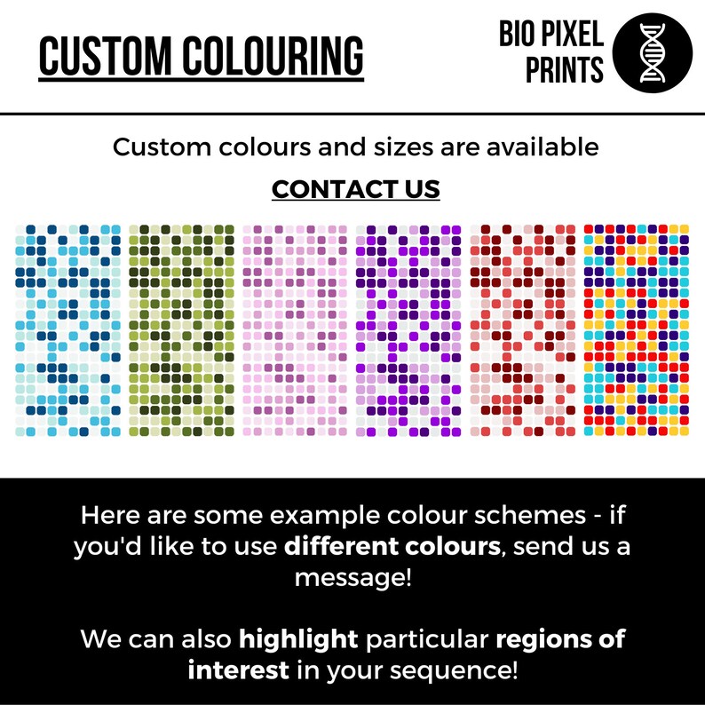 Custom Sequence DNA Print RNA Digital Download Nucleic Acid - Etsy