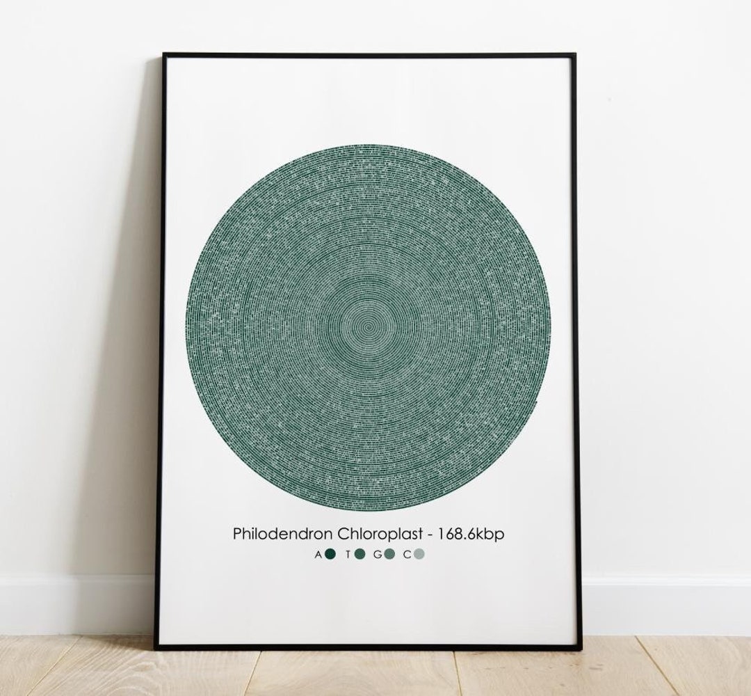 Philodendron Chloroplast Gene Sequence Print, Houseplant DNA Poster ...