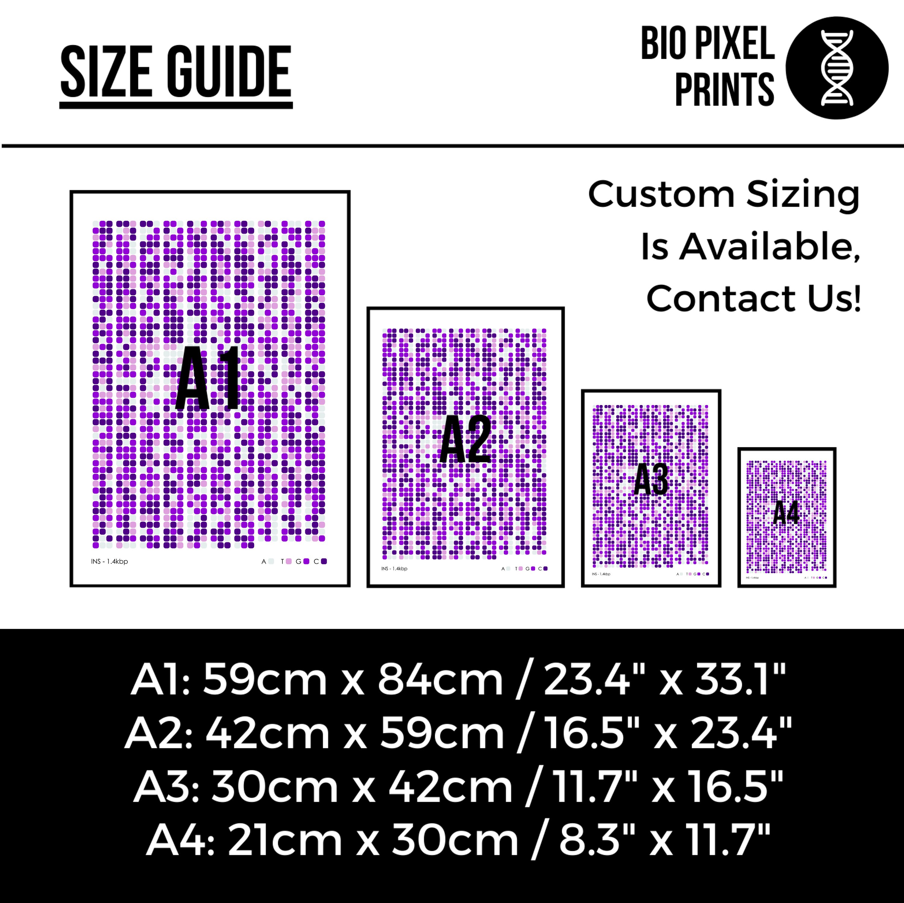 Insulin INS Gene Sequence Print Diabetes DNA Poster Scientist Gift ...