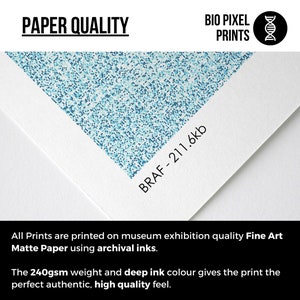 Custom Sequence DNA Print RNA, Nucleic Acid Gene Immunology Poster ...