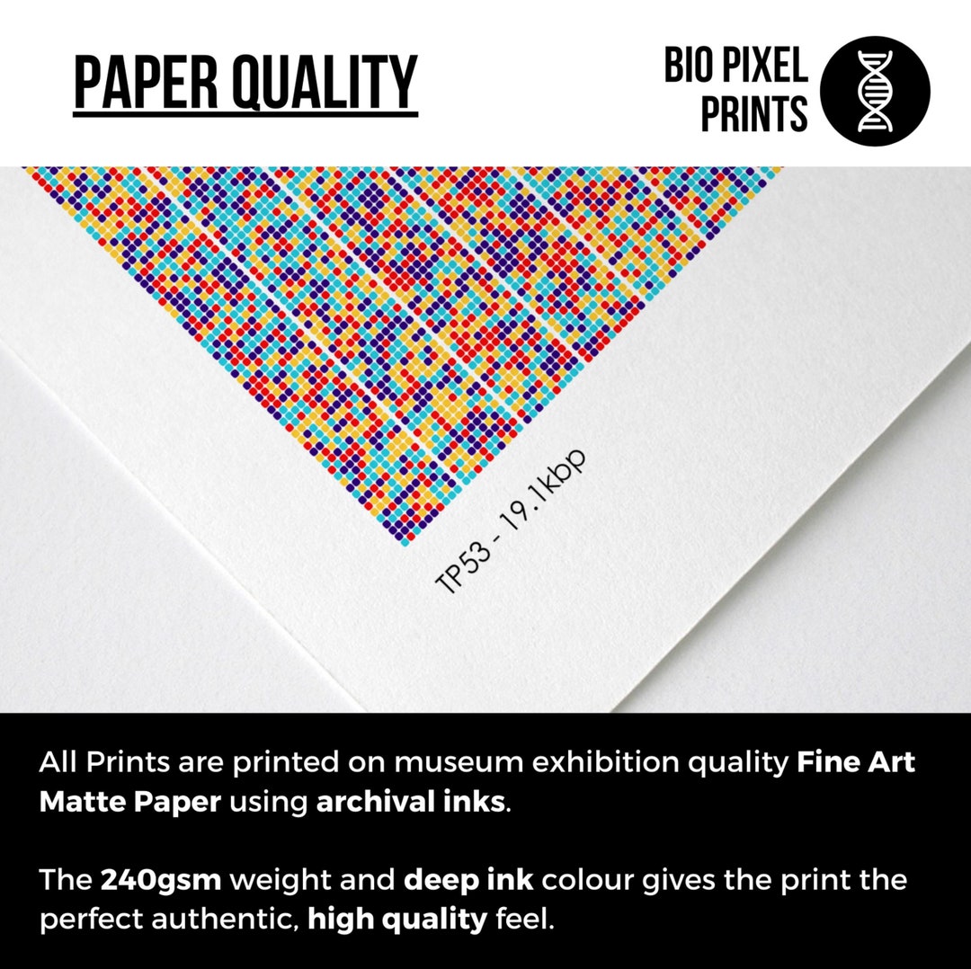 TP53 Gene Sequence Print, Breast Cancer DNA Poster, Scientist Gift ...