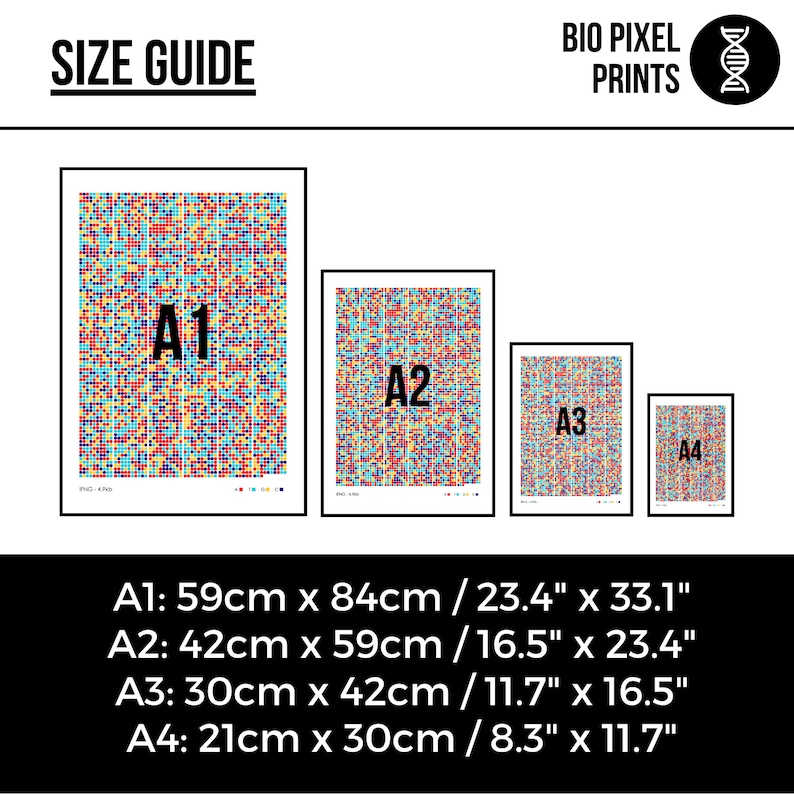 Custom Sequence DNA Print RNA, Nucleic Acid Gene Immunology Poster ...