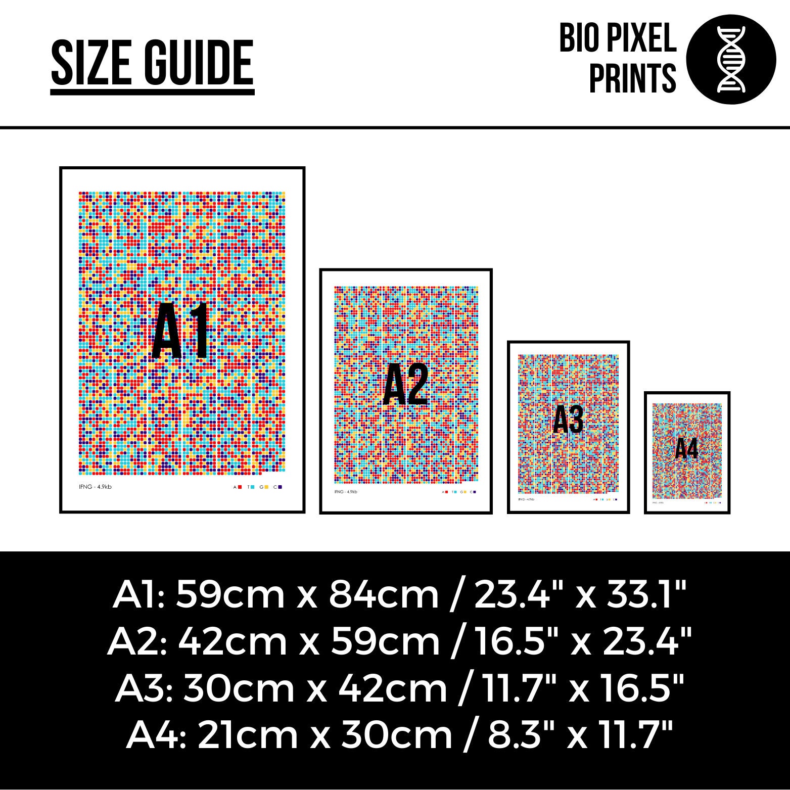 Custom Sequence DNA Print RNA, Nucleic Acid Gene Immunology Poster ...