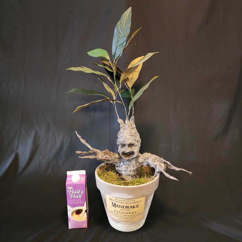Mandrake Sculpture - Etsy