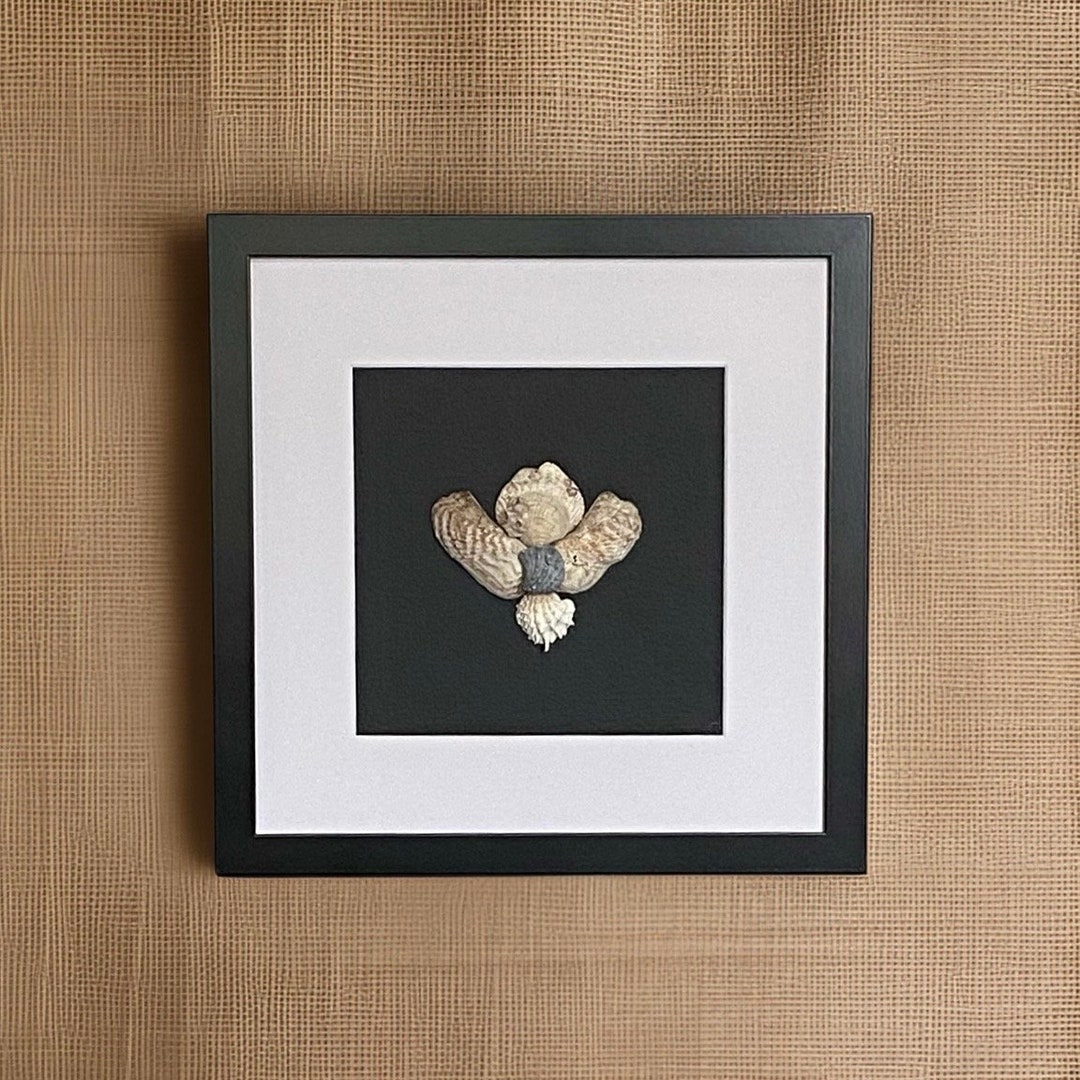 Luna - Anna Maria Island & Siesta Key Shells on Black 8x8 Painted ...