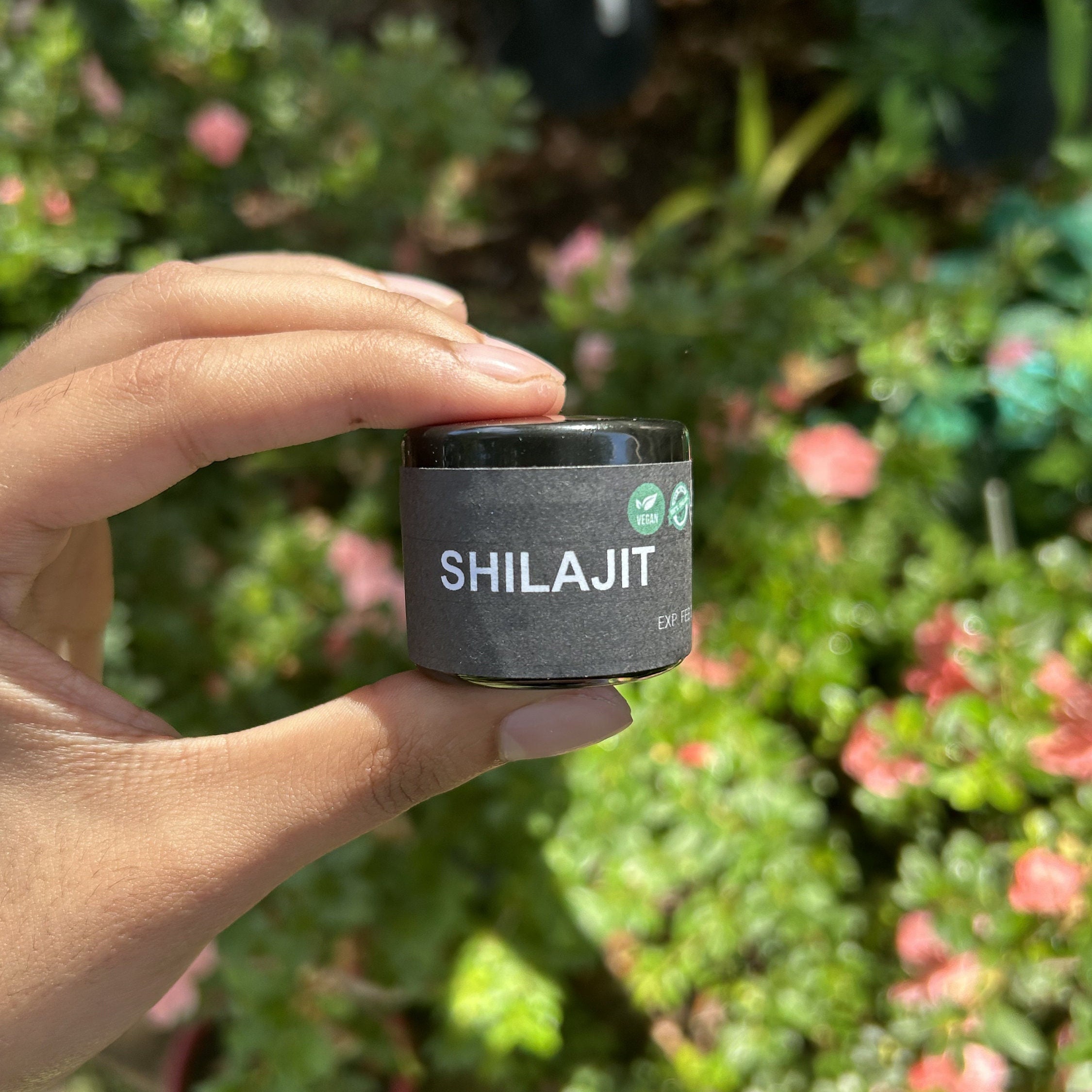 Pure Shilajit Resin 30 Grams, High Nutritional Potency, Plant-derived ...