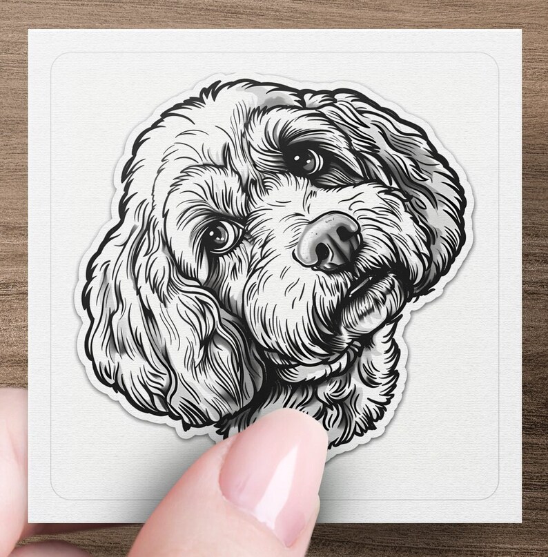 Cavapoo Sticker Cute Puppy With Soulful Eyes and Boundless Energy Your ...