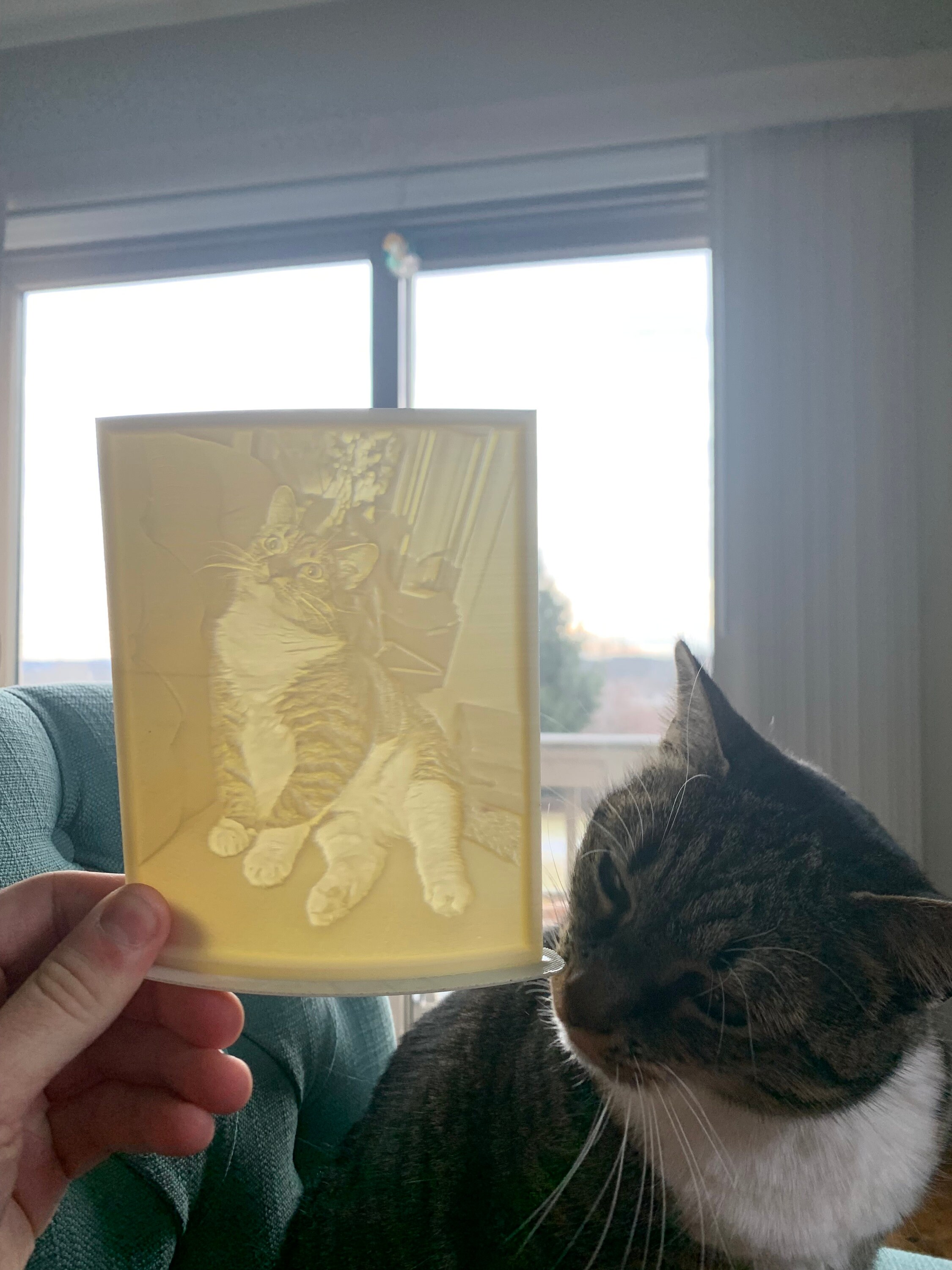 Personalized Lithophane - 3D Printed and Custom to Order - Etsy