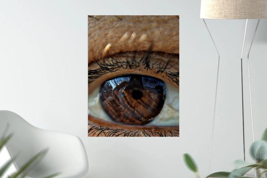 WINDOWS6 Digital Poster - Etsy