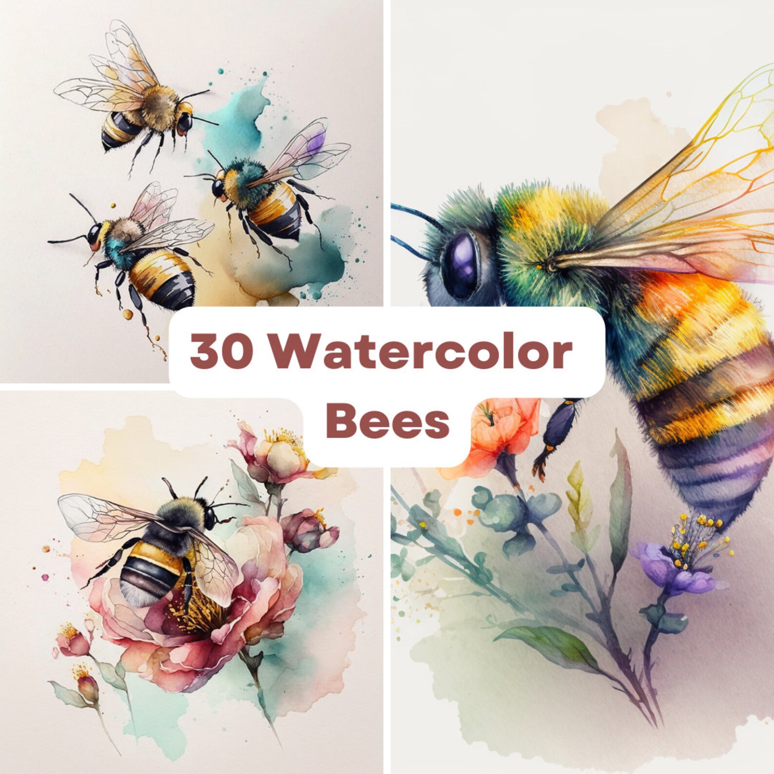 Bees and Flowers Clip Art- Watercolor Cute Bee - PNG for Commercial Use ...