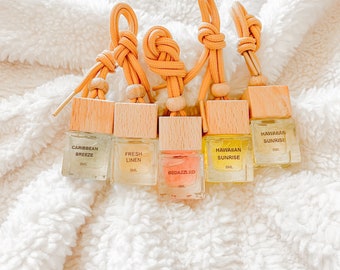 Car Air Diffusers - Car Air Fresheners - Air Freshener - Hanging Car ...