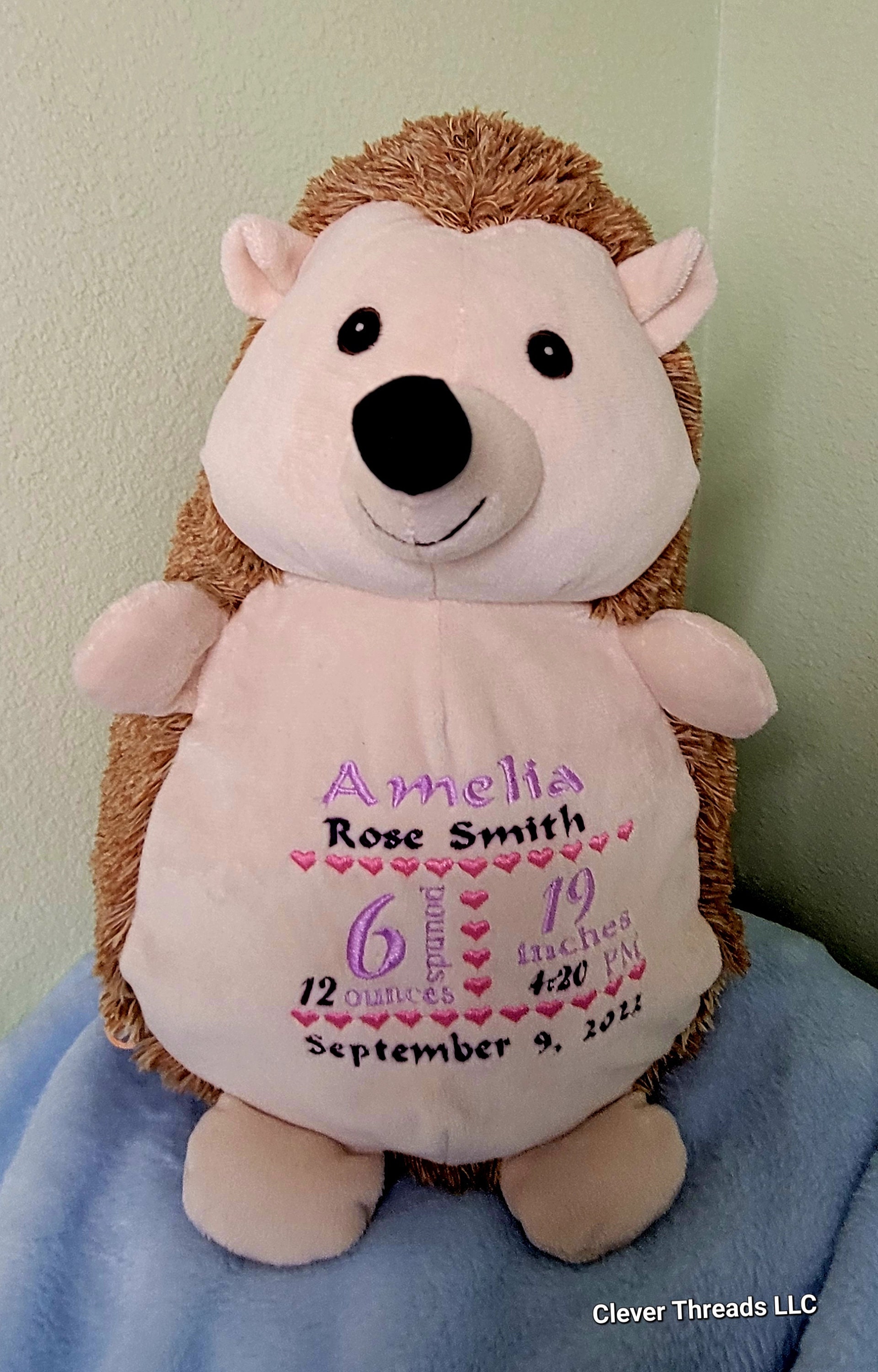 Embroider Buddy * Custom Message * Plush Keepsake - Etsy