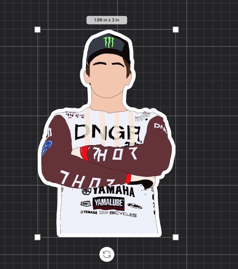 Haiden Deegan 238 - Motocross/supercross Sticker 2023 SMX 250 Champion ...