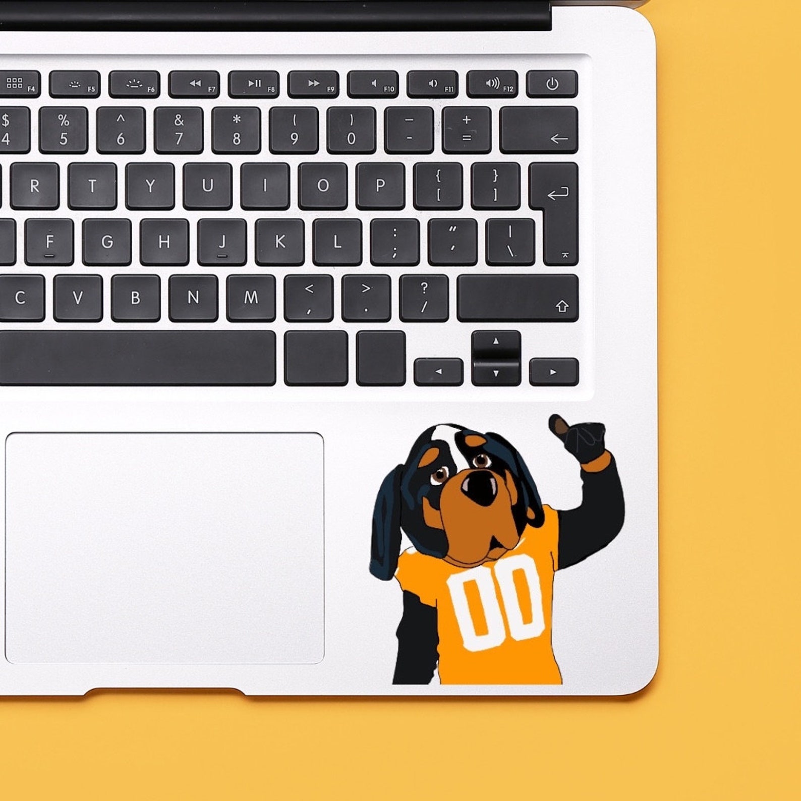 Smokey University of Tennessee Mascot - Etsy