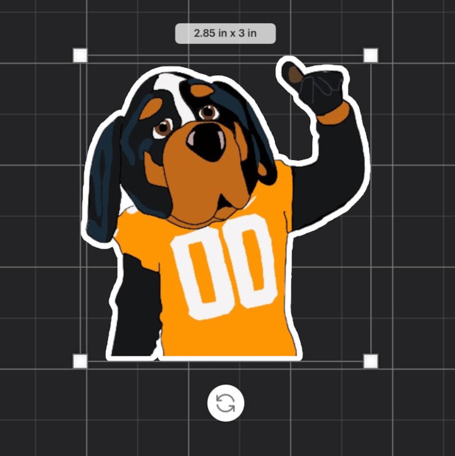 Smokey - University of Tennessee Mascot - Etsy