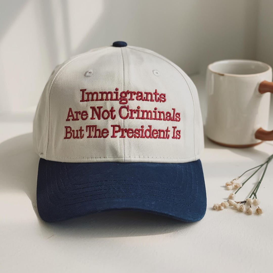 Embroidered Political Slogan Hat, Feminist Democrat Gift - Etsy