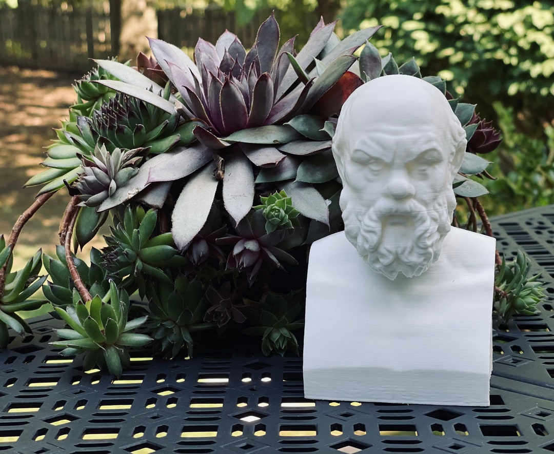 Socrates Bust / Statue - Etsy