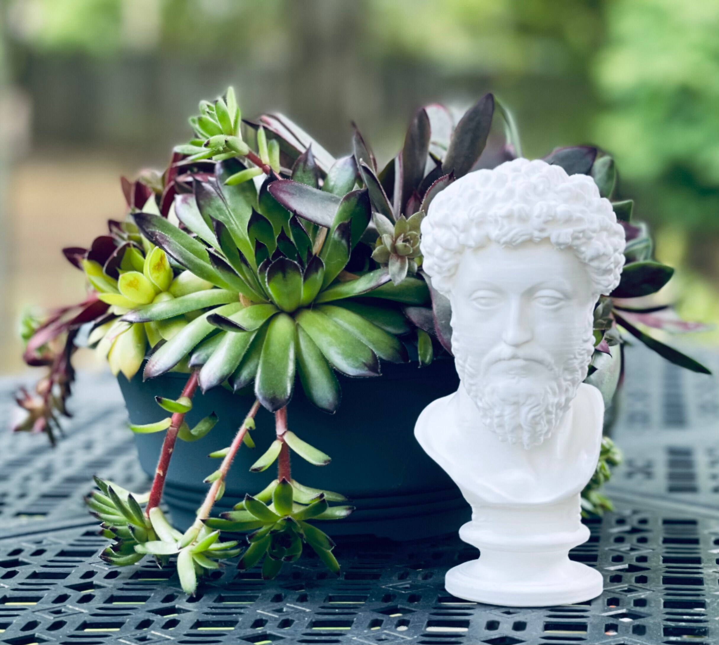 The Stoic Box / Stoicism Themed Gift Box - Etsy
