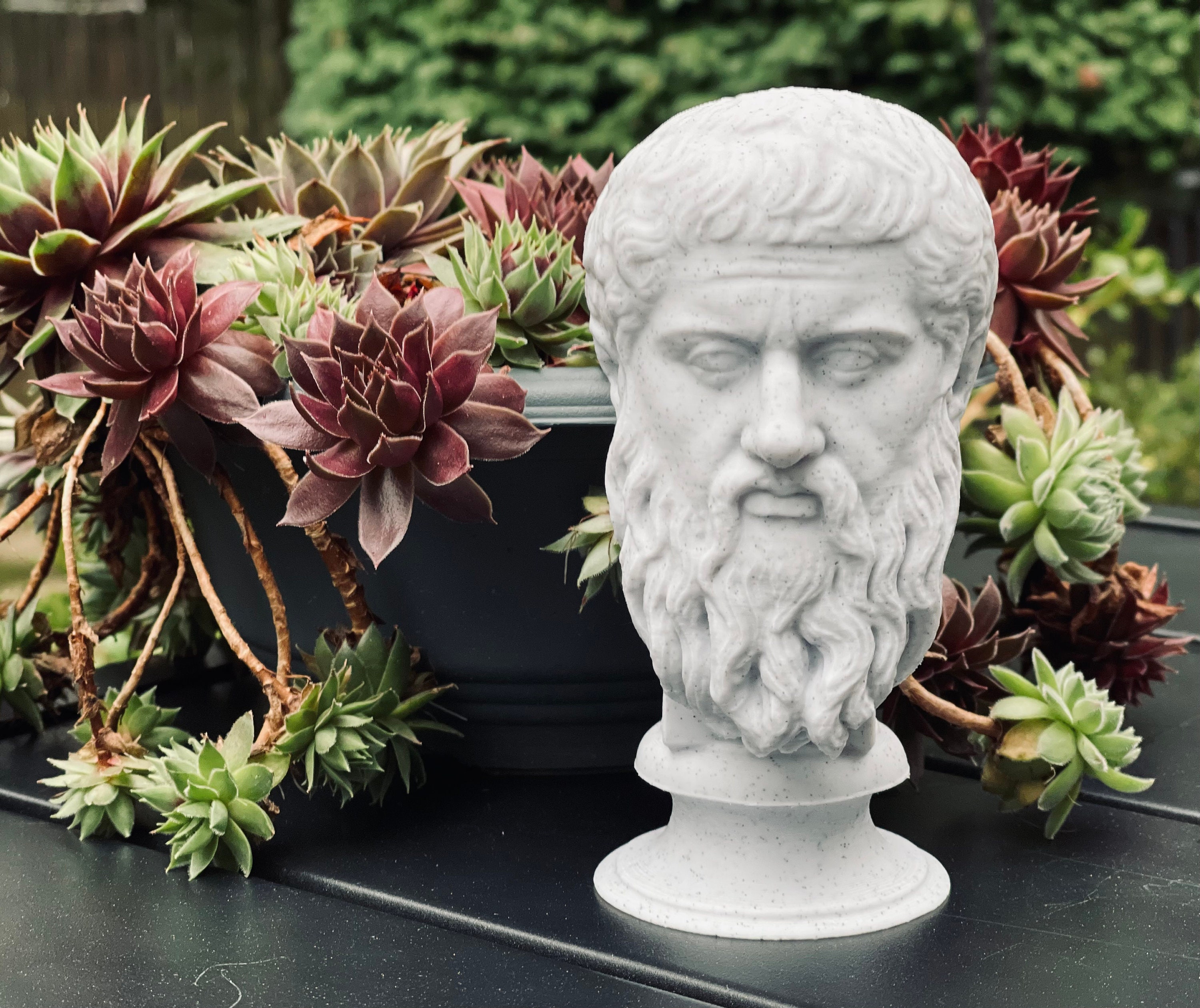 Plato Bust / Statue - Etsy