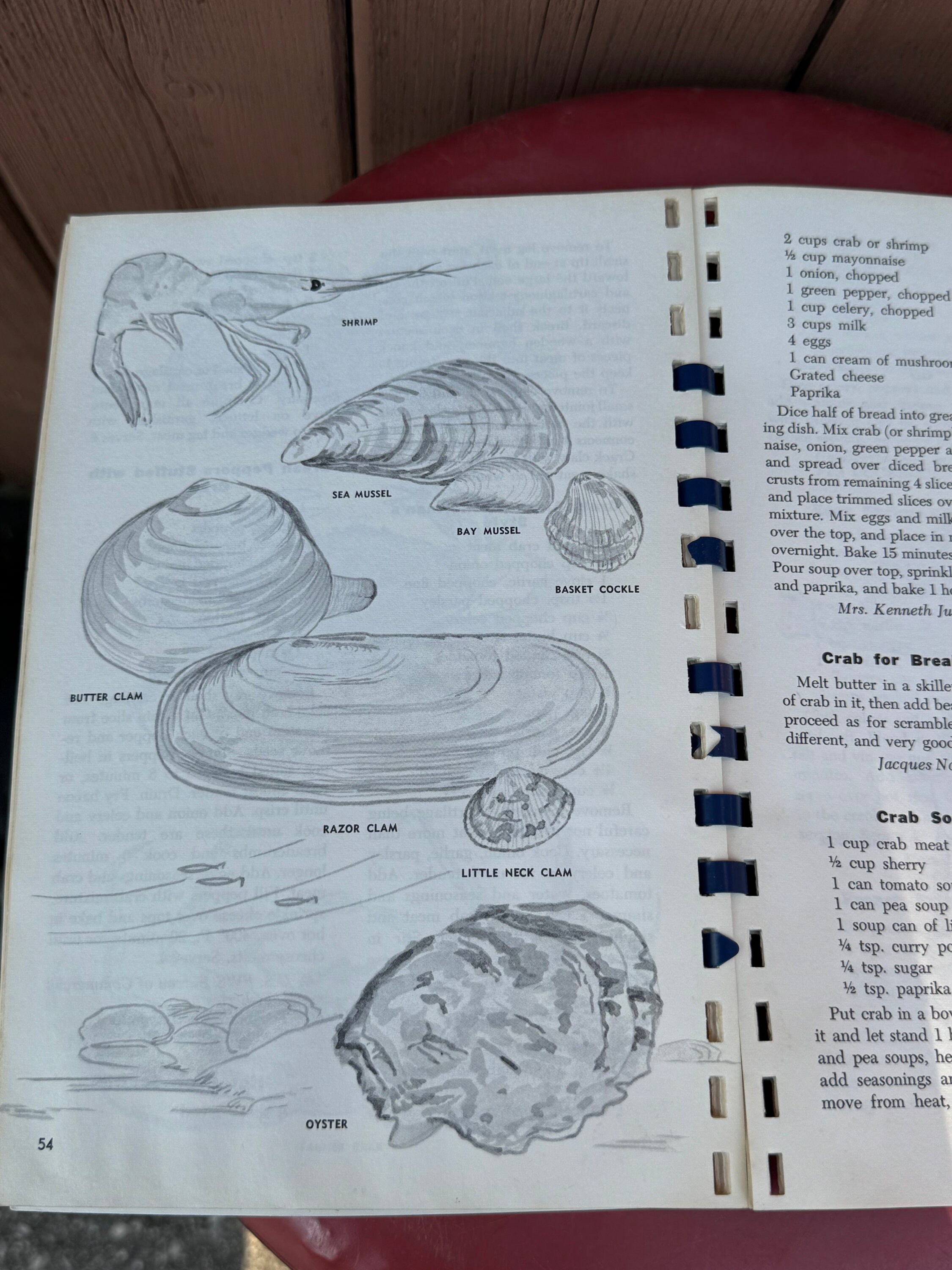 The Alaskan Camp Cook Book Campout Cooking Fish Recipes Vintage ...