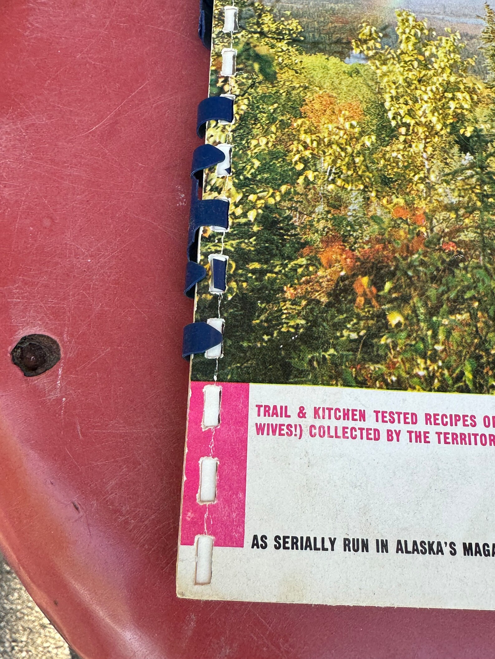 The Alaskan Camp Cook Book Campout Cooking Fish Recipes Vintage ...
