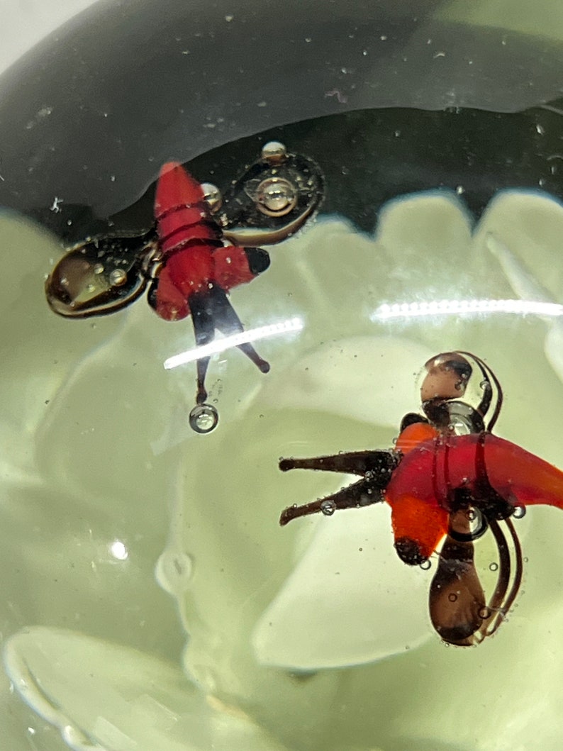 Paperweight Murano Glass Insect and Flower Paper Weight Bugs Flower ...