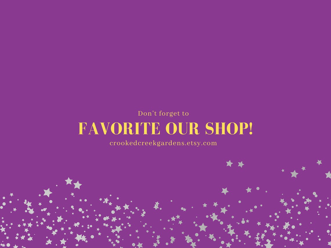 Purple and Gold Digital Backdrop Curtains School Prom and Graduation ...