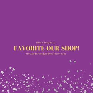 Purple and Gold Digital Backdrop Curtains | School Prom and Graduation ...