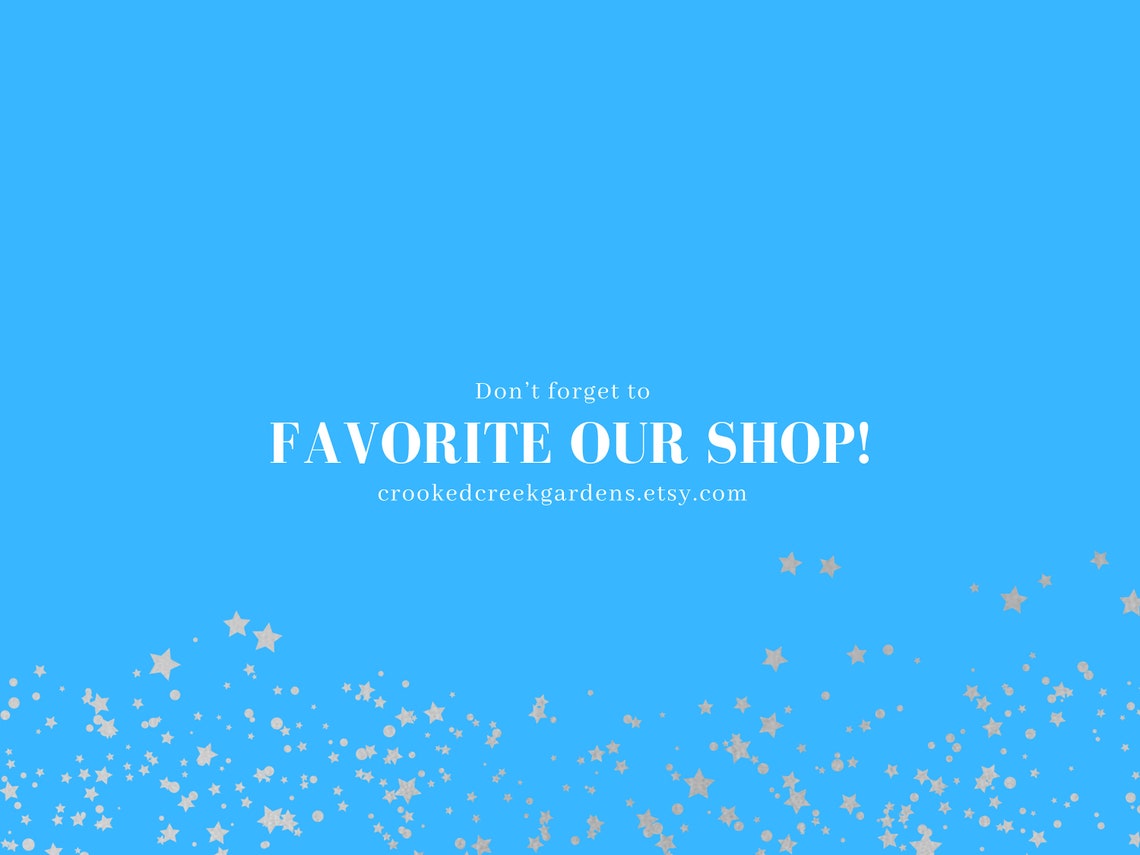 Light Blue Digital Backdrop School Colors Prom and Graduation Curtain ...
