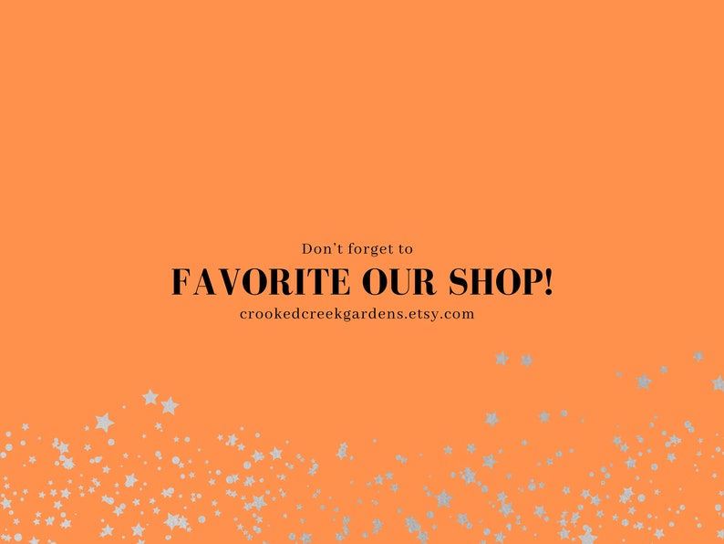 Black and Orange Digital Backdrop School Colors Prom and Graduation ...