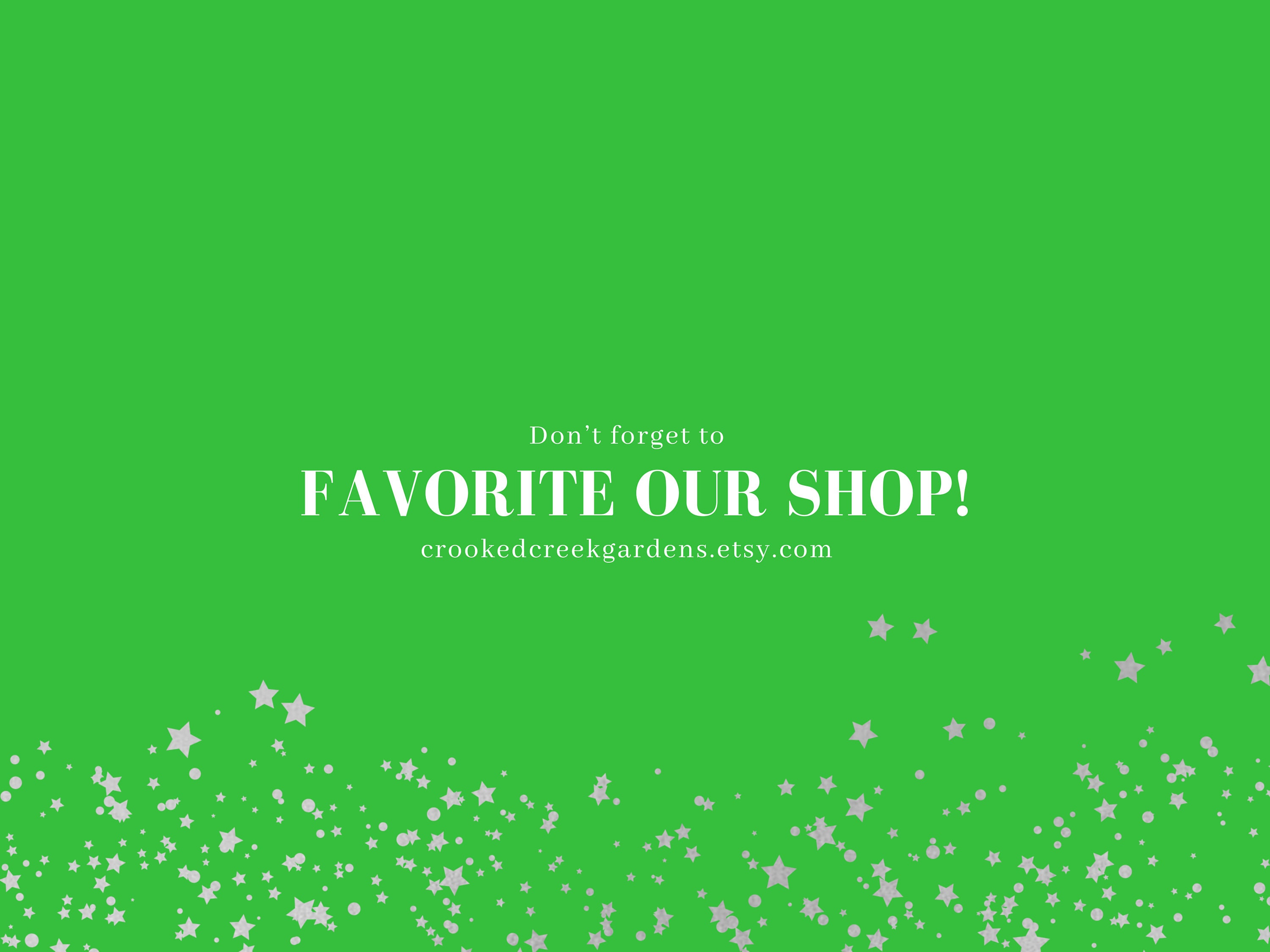 Green and White Digital Backdrop Curtains School Colors Prom and ...