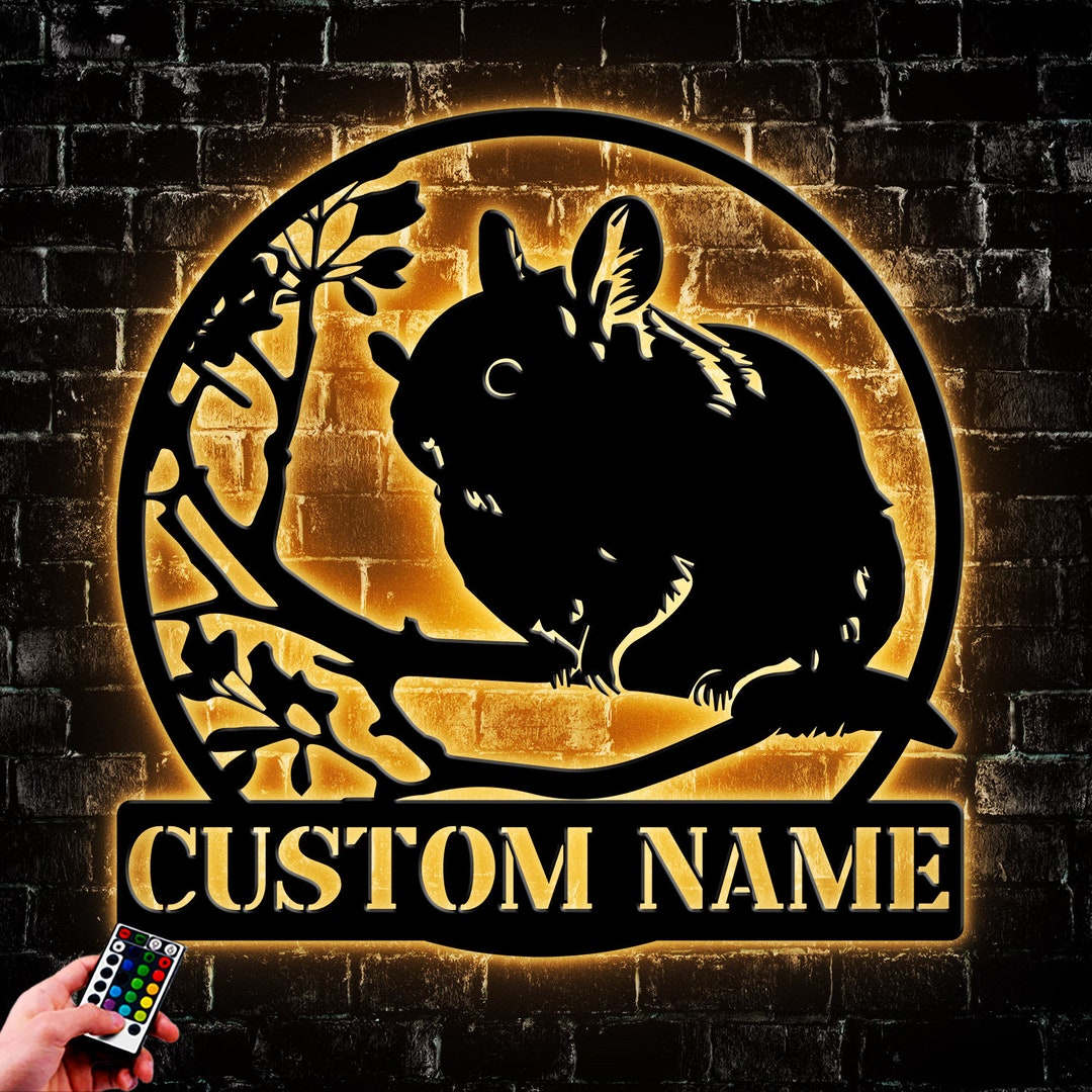 Custom Chinchilla Metal Wall Art LED Light, Personalized Chinchilla ...