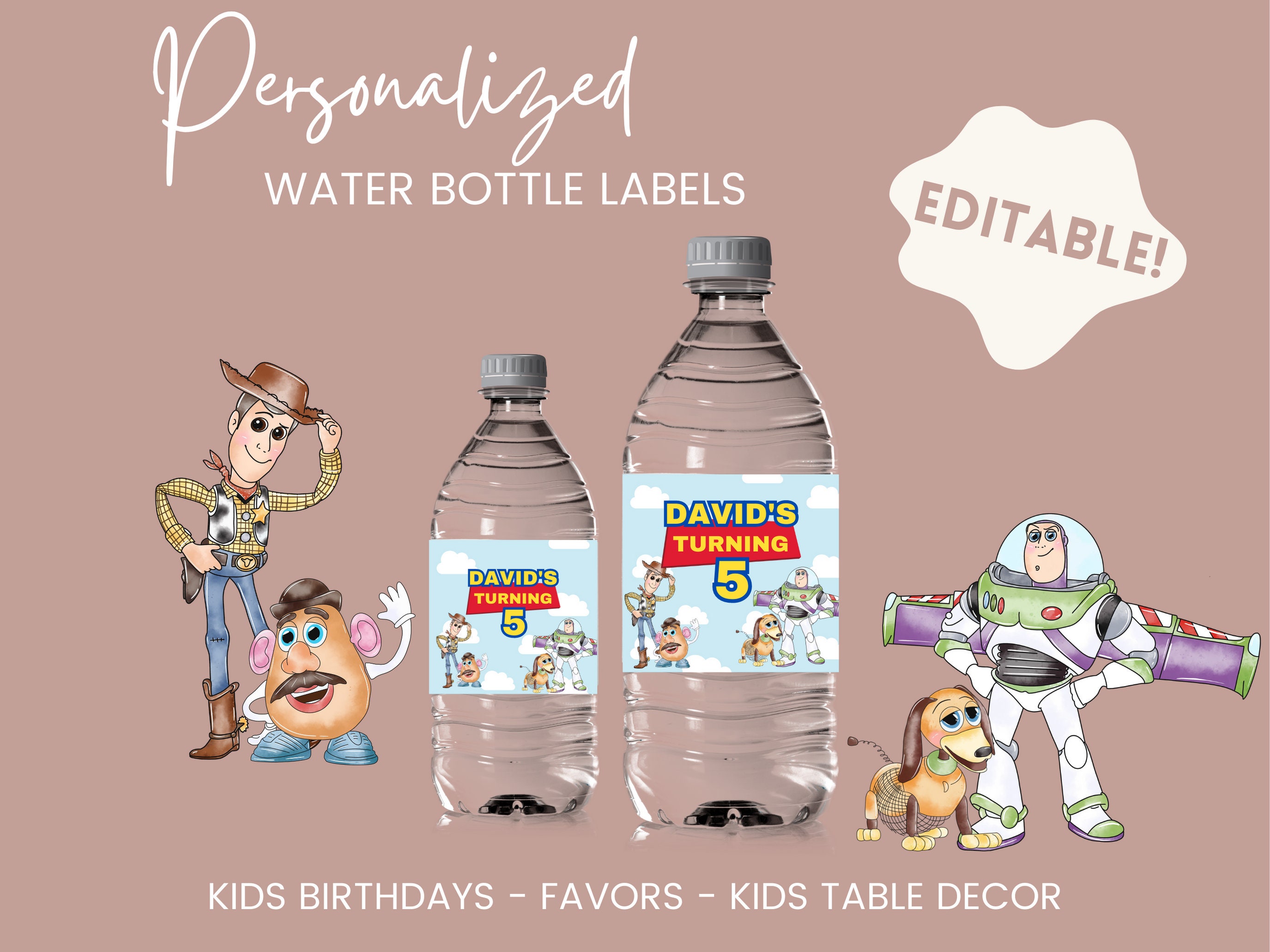 Toy Story - Water Bottle Labels - Etsy