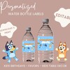 Bluey - Water Bottle Labels - Etsy