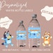 Bluey - Water Bottle Labels - Etsy
